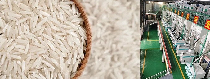 Rice Mill Solution | Complete Rice Processing Plant Turnkey Project