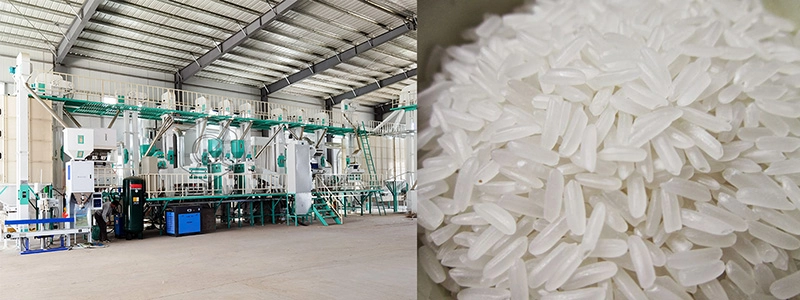 Rice Mill Solution | Complete Rice Processing Plant Turnkey Project